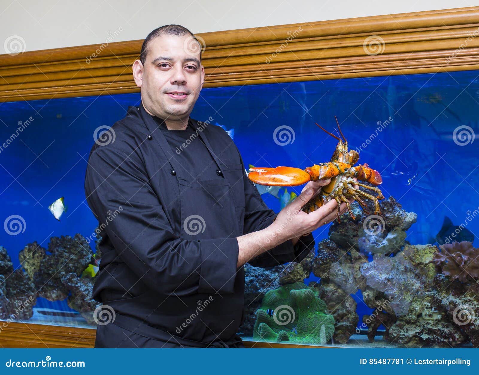 Chef of the Fish Restaurant with Seafood Stock Image - Image of fine ...