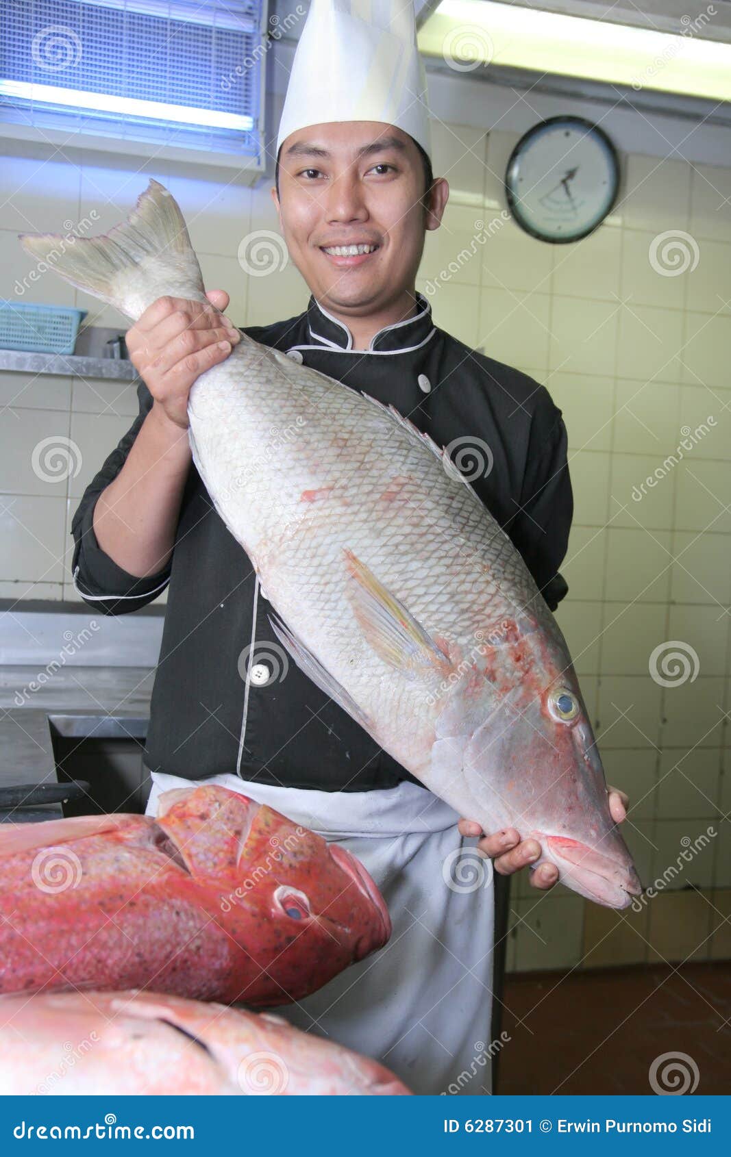 Chef and fishes stock image. Image of skill, fish, portrait - 6287301