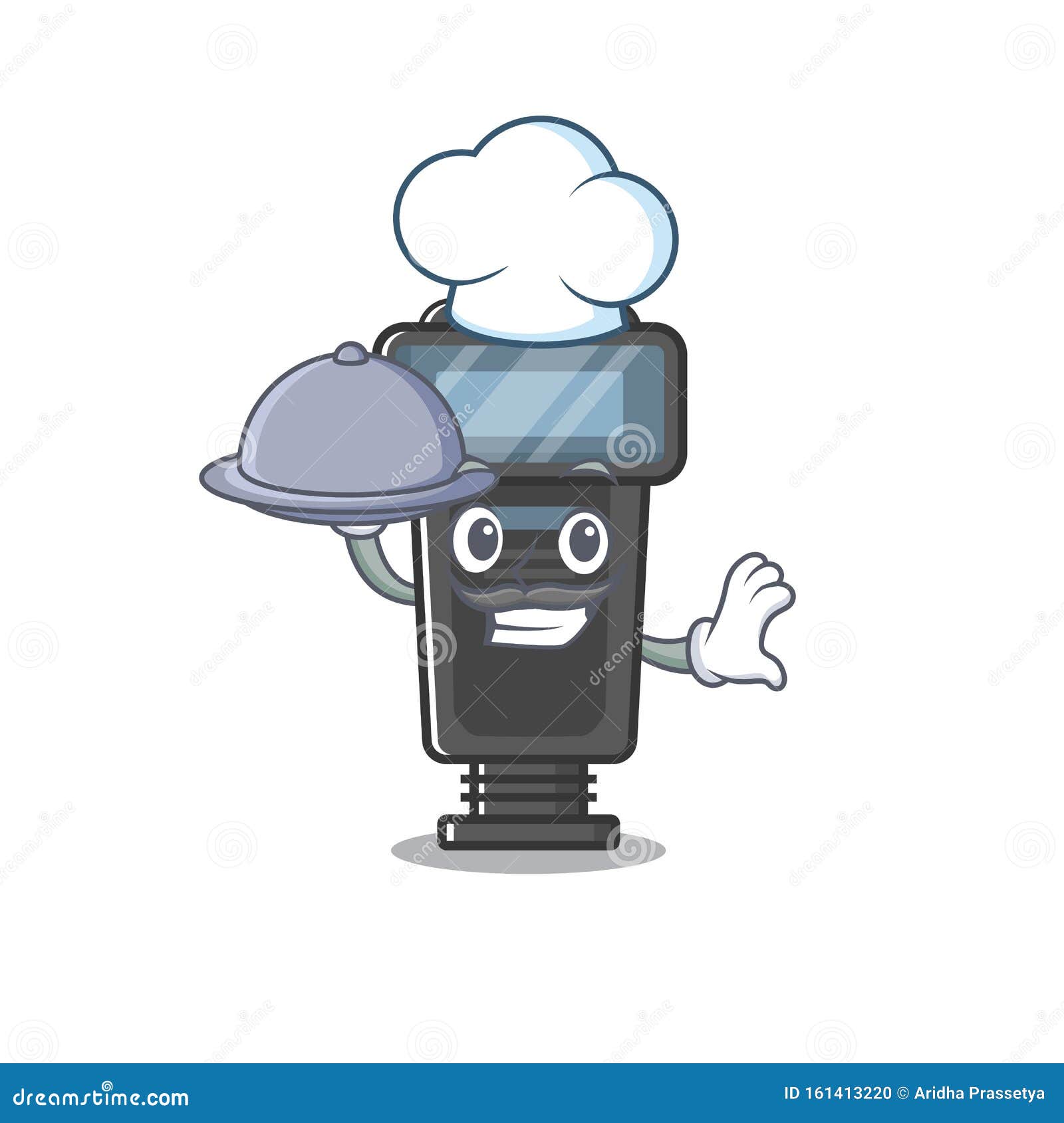Chef with Food Camera Flash in a Cartoon Bag Stock Vector ...