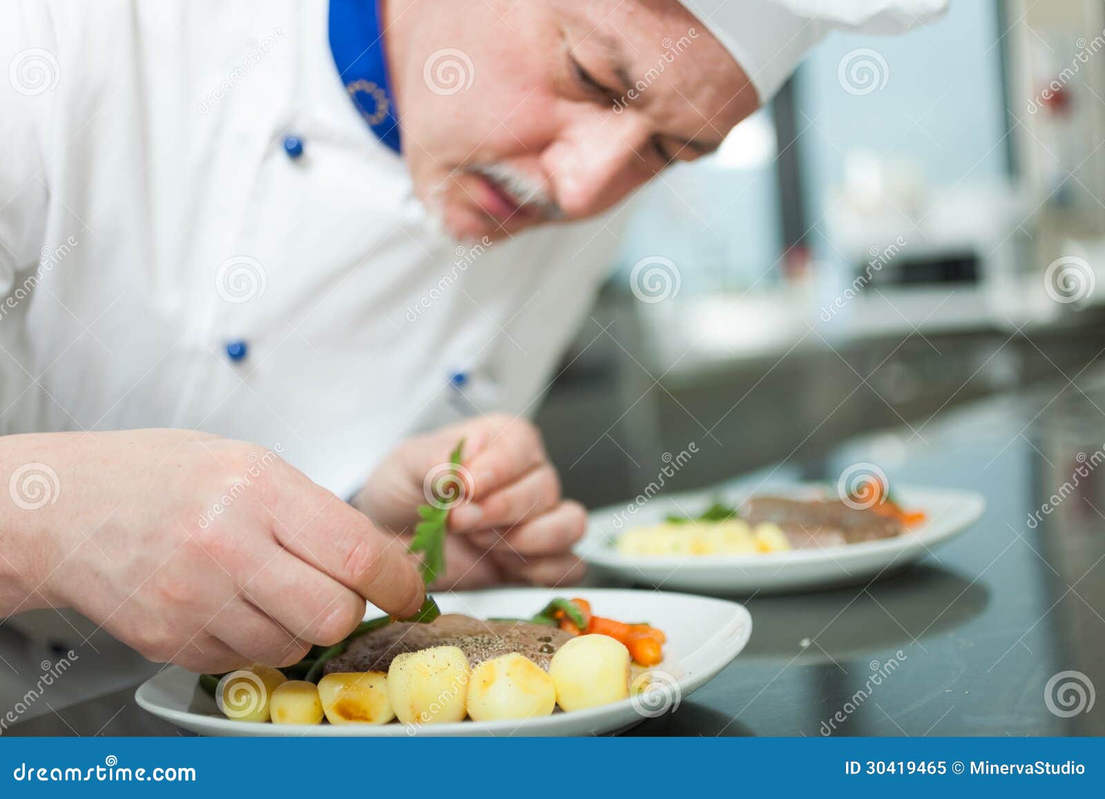 Chef garnishing a dish stock image. Image of profession - 30419465
