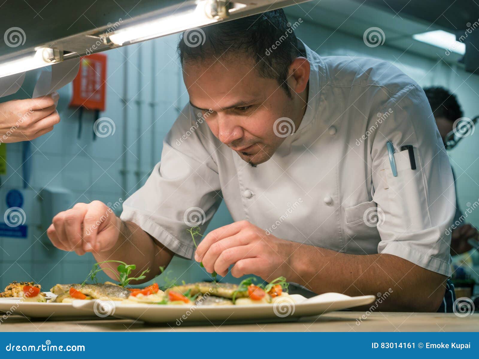 Chef Garnishing Food in Kitchen Stock Image - Image of professional ...