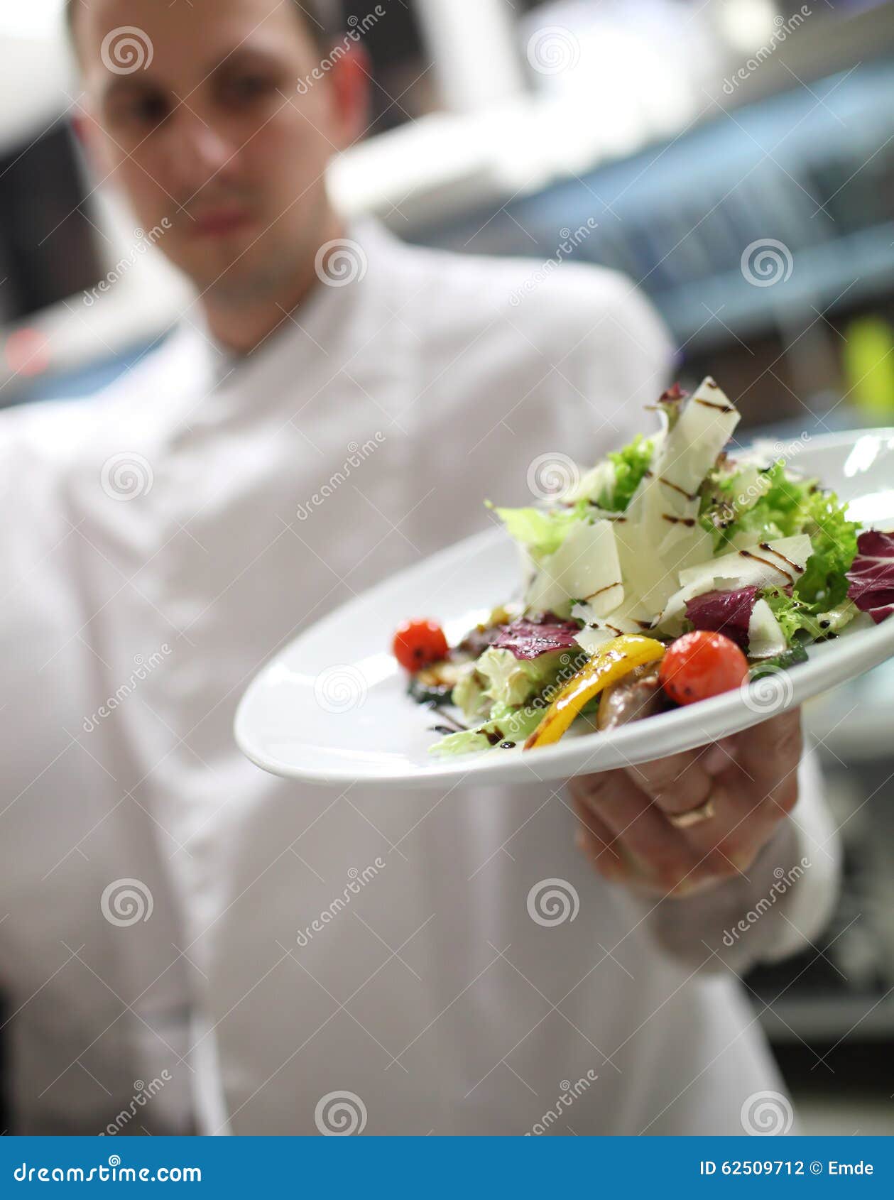 Chef Garnishing in the Kitchen Garnishing Their Salads Stock Photo ...