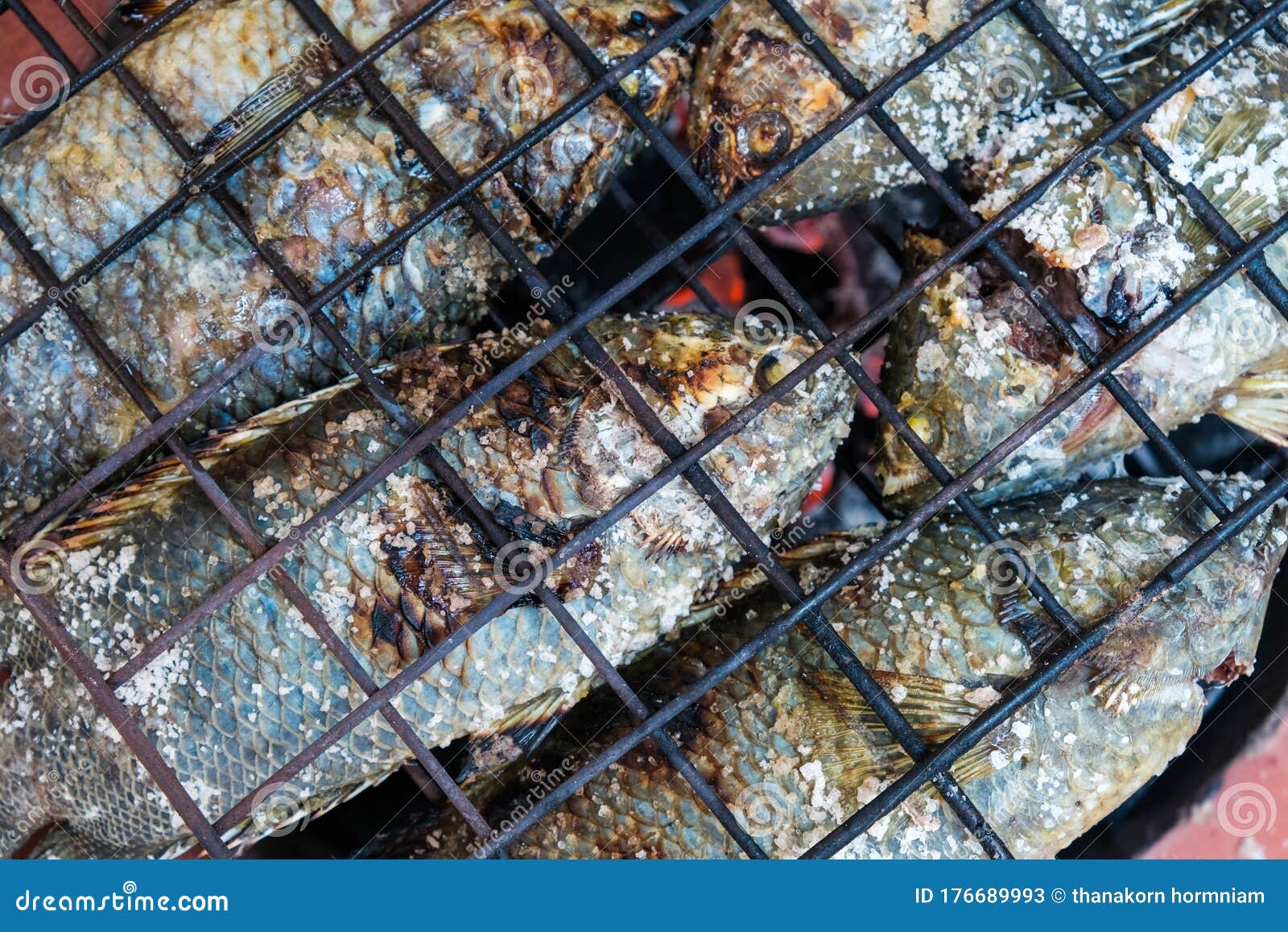 The Chef Grilled Fish in a Chinese Restaurant Stock Image - Image of ...