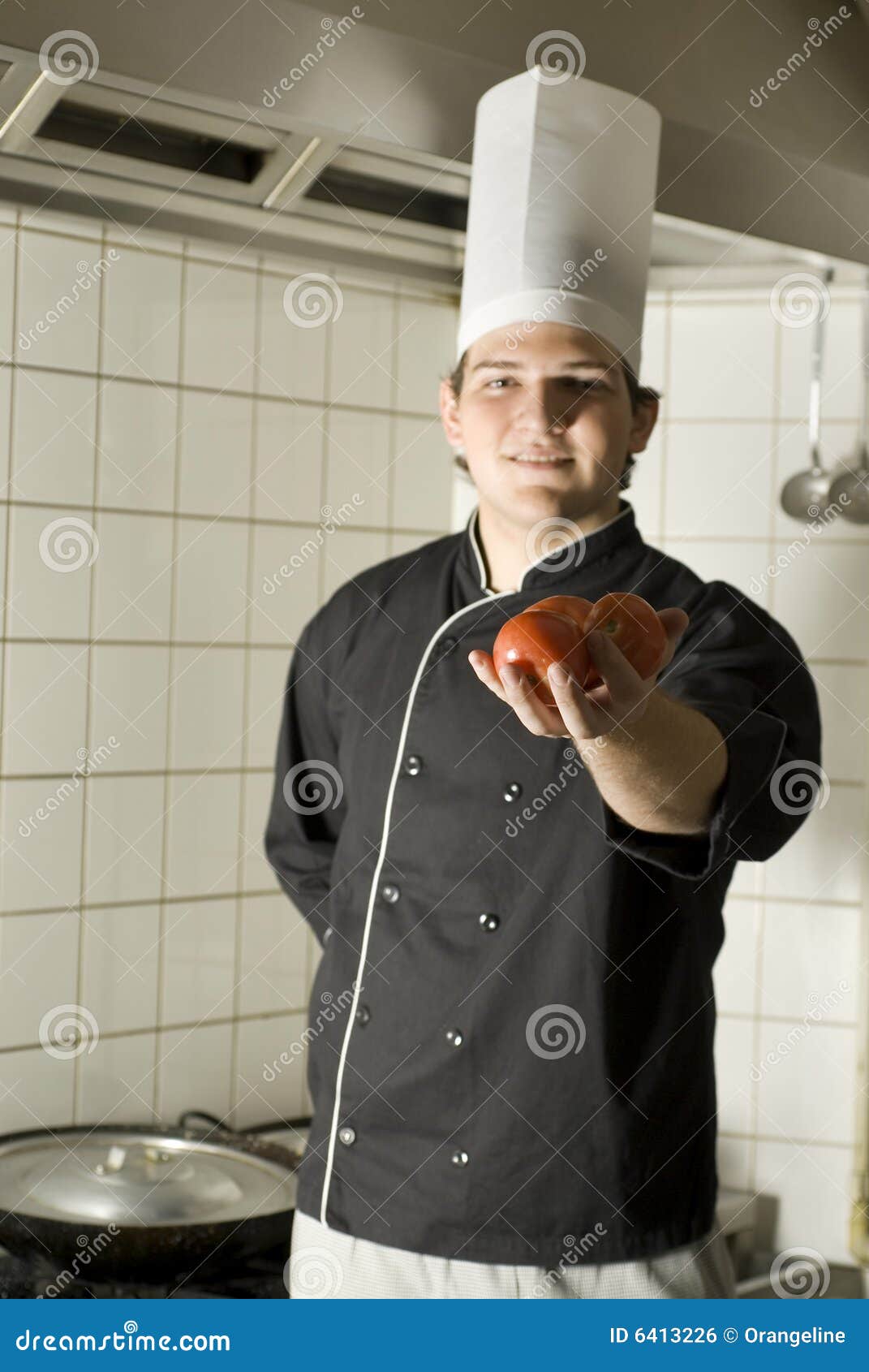 Chef Holding Tomatoes stock photo. Image of holding, professional - 6413226
