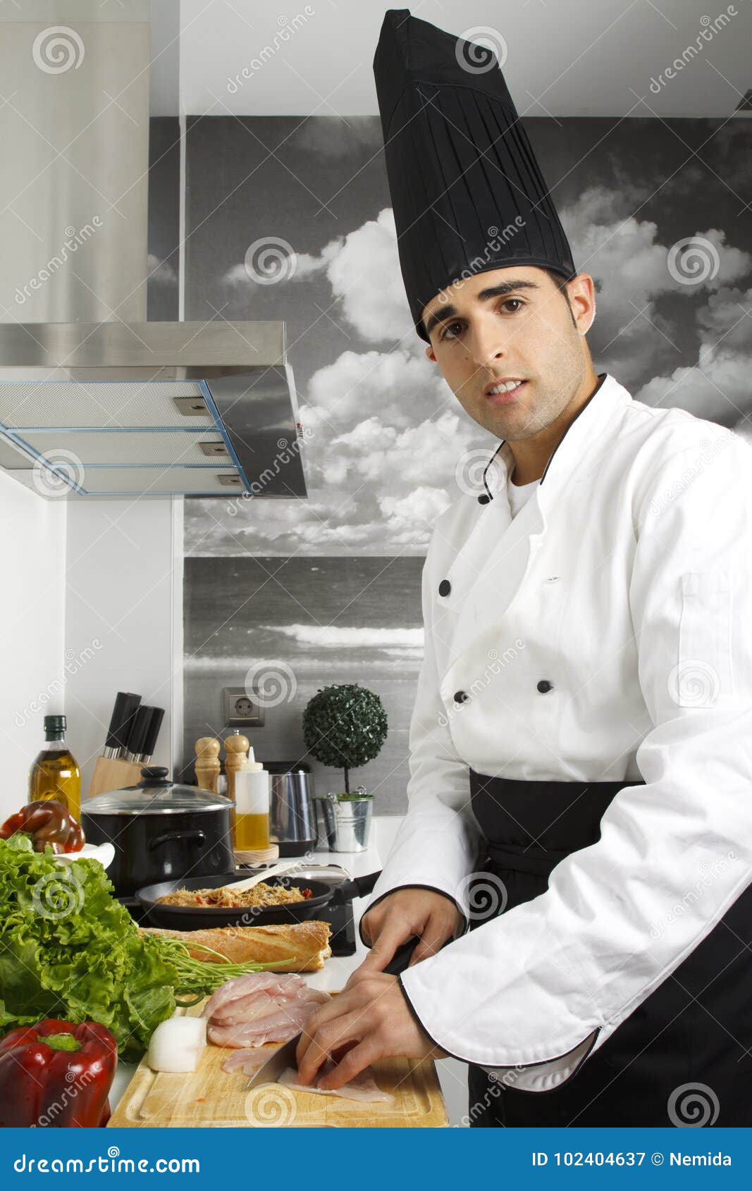 Chef in the kitchen stock image. Image of kitchen, chef - 102404637