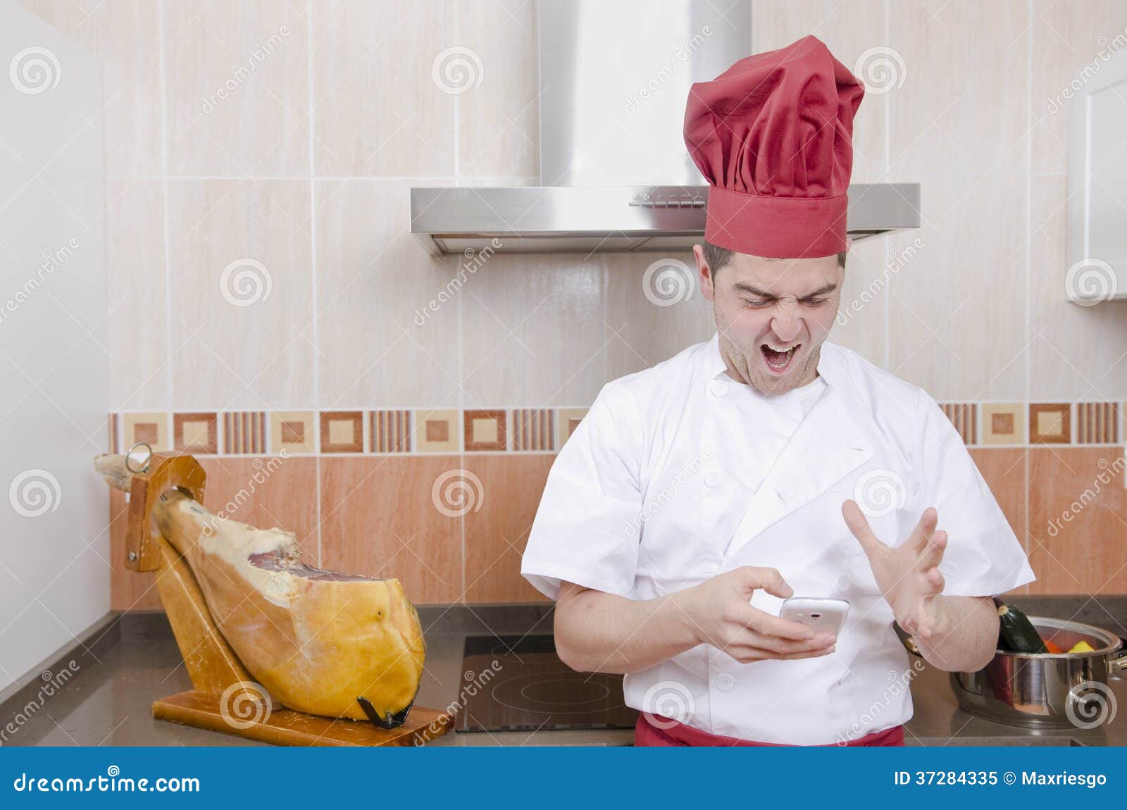 The chef in the kitchen. stock image. Image of diet, cook - 37284335
