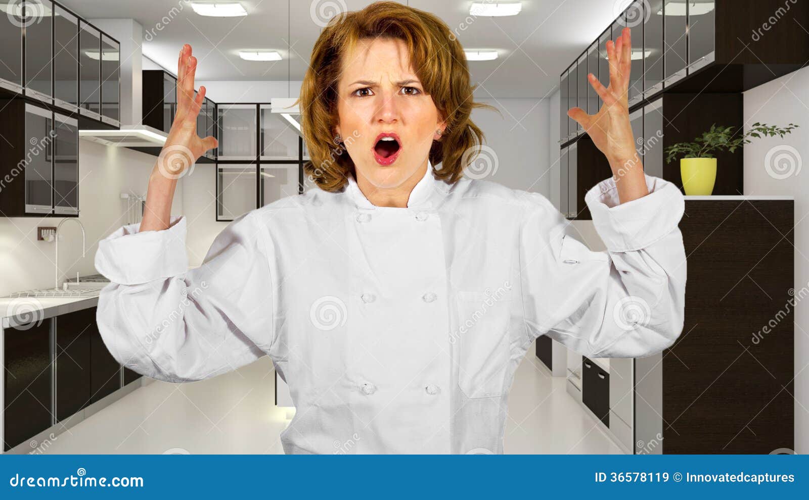 Chef in a Kitchen stock image. Image of gourmet, isolated - 36578119