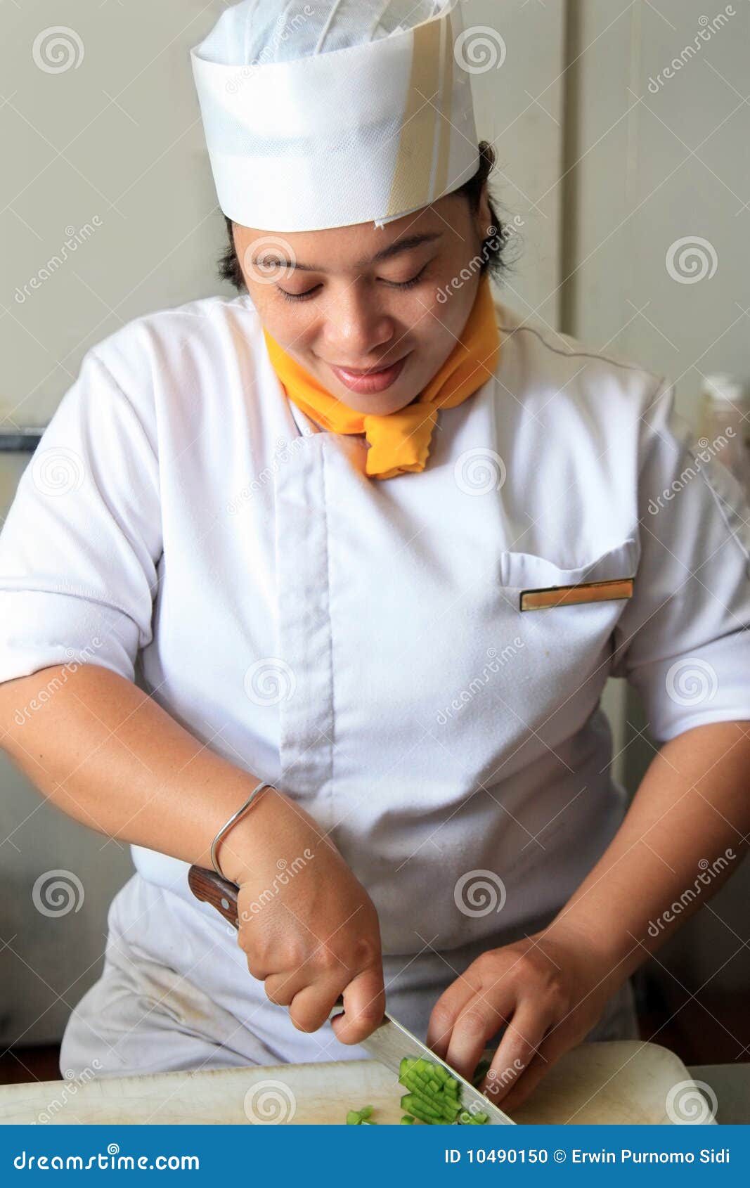 Chef-kok stock foto. Image of restaurant, werk, personeel - 10490150