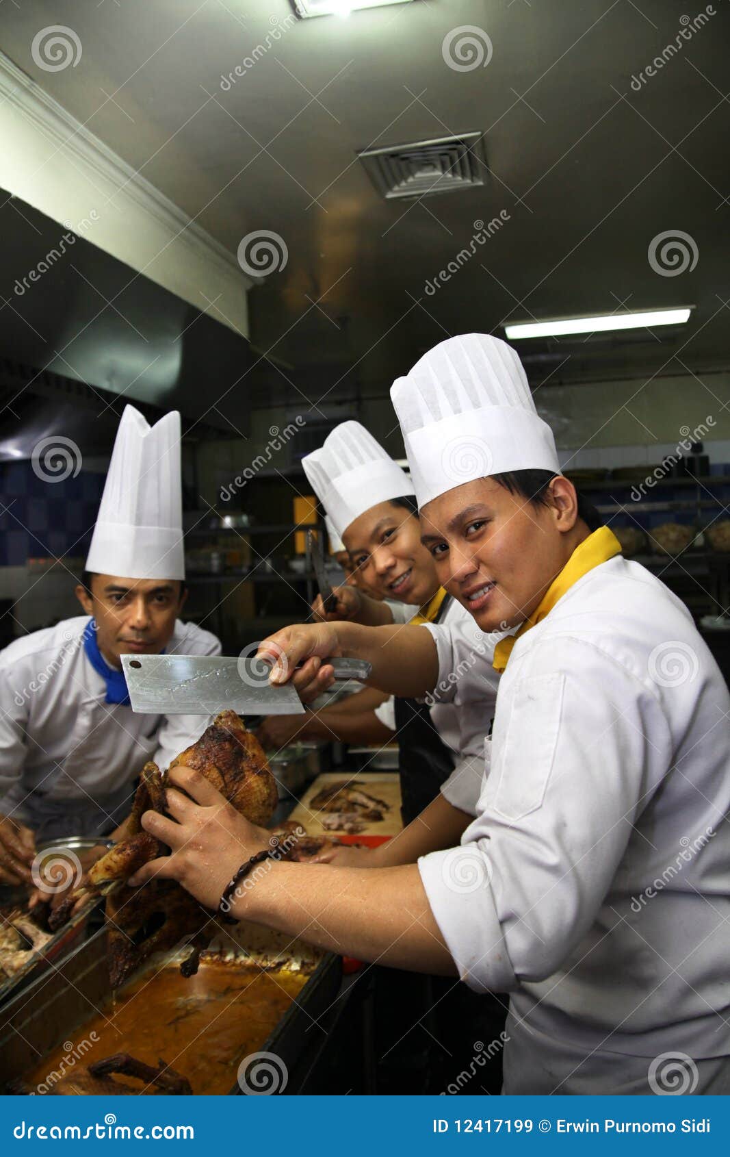 Chef-kok stock afbeelding. Image of stellen, mannetje - 12417199