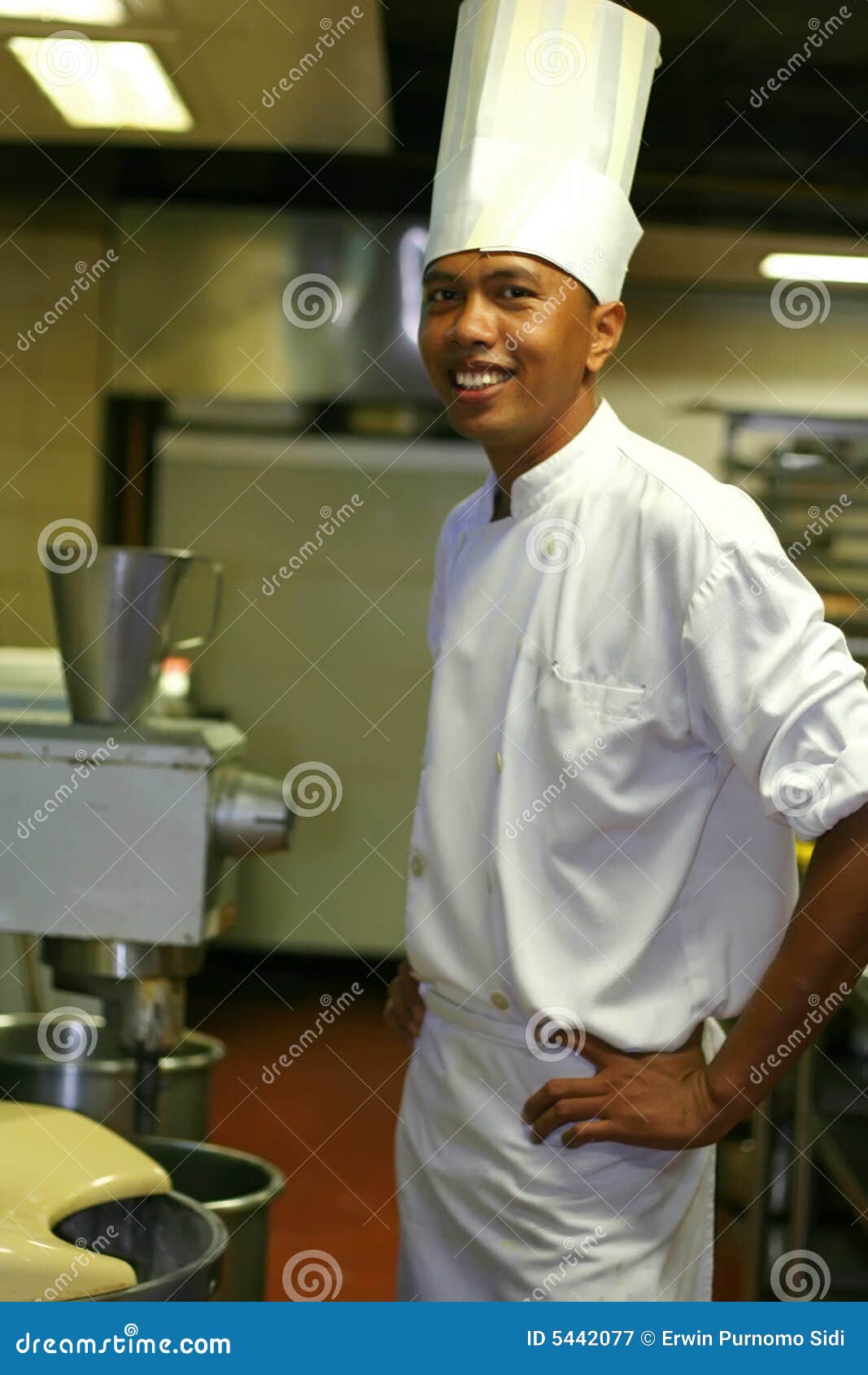 Chef pastry stock image. Image of chefs, meal, cafe, dough - 5442077