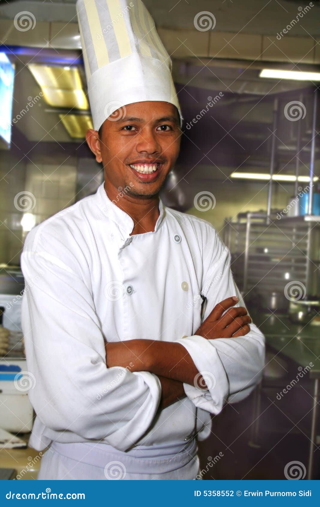 Chef pastry in pose stock photo. Image of industry, gentle - 5358552