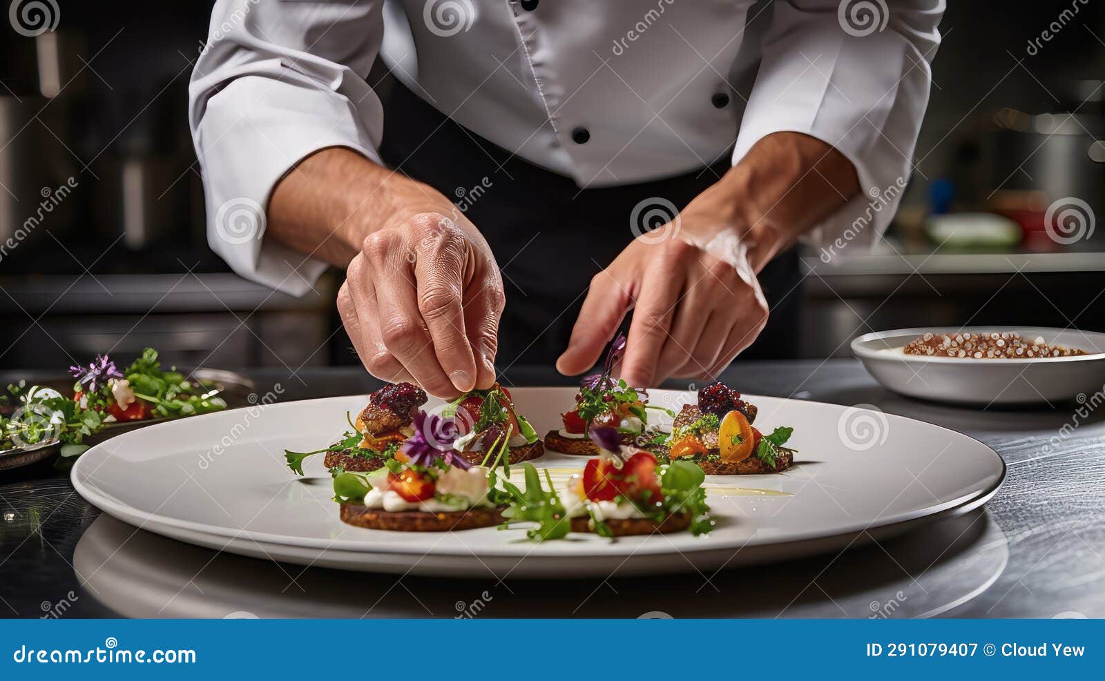 Chef plating gourmet dish stock image. Image of culinary - 291079407