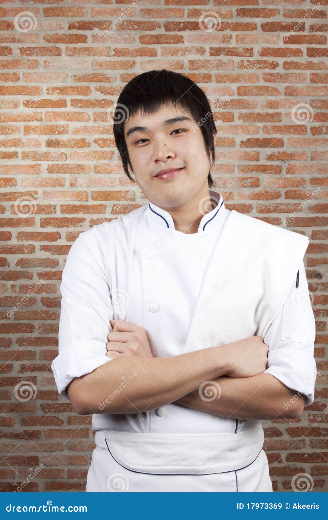 Chef portrait stock image. Image of dinner, partie, food - 17973369