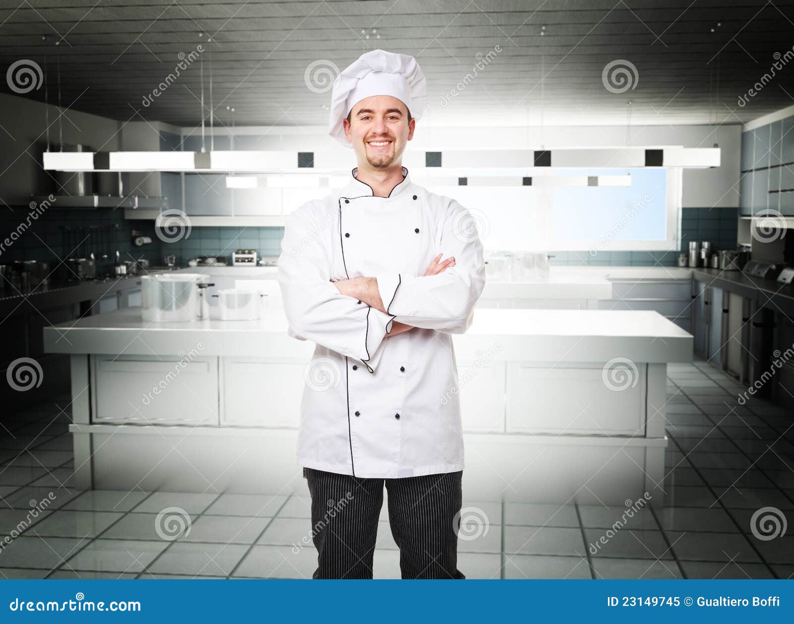 Chef portrait stock image. Image of service, professional - 23149745