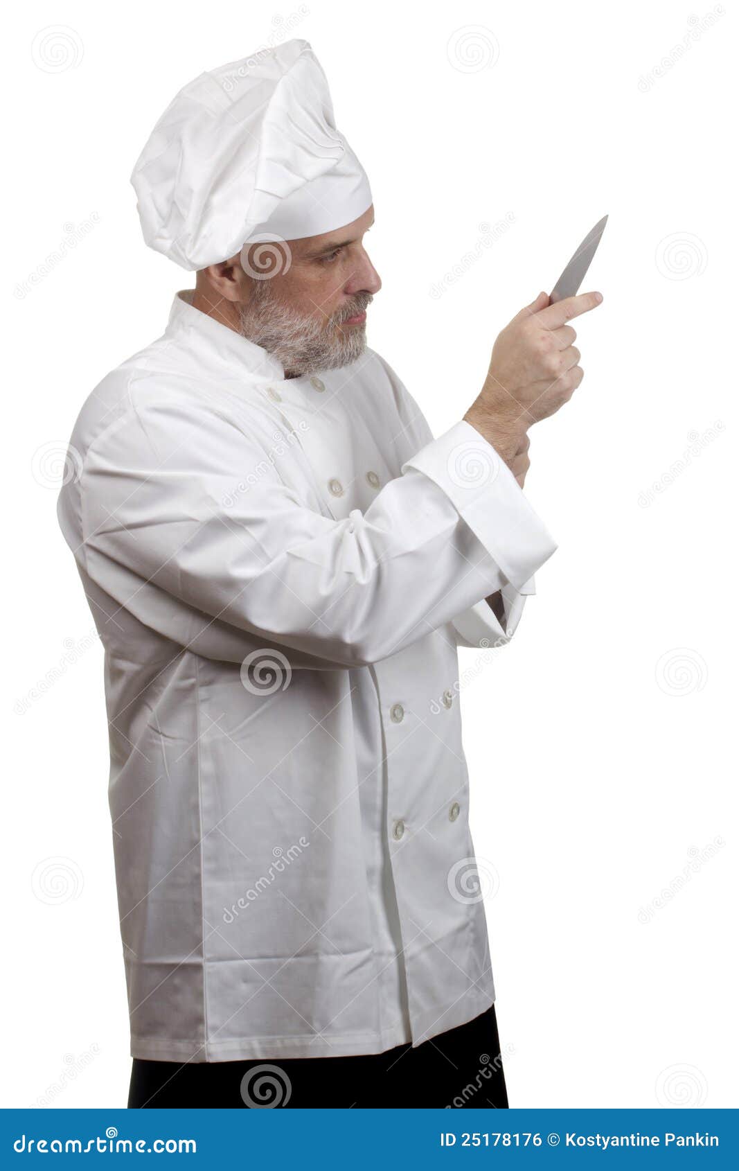 Chef-Portrait stockfoto. Bild von kaukasisch, ausdrücken - 25178176