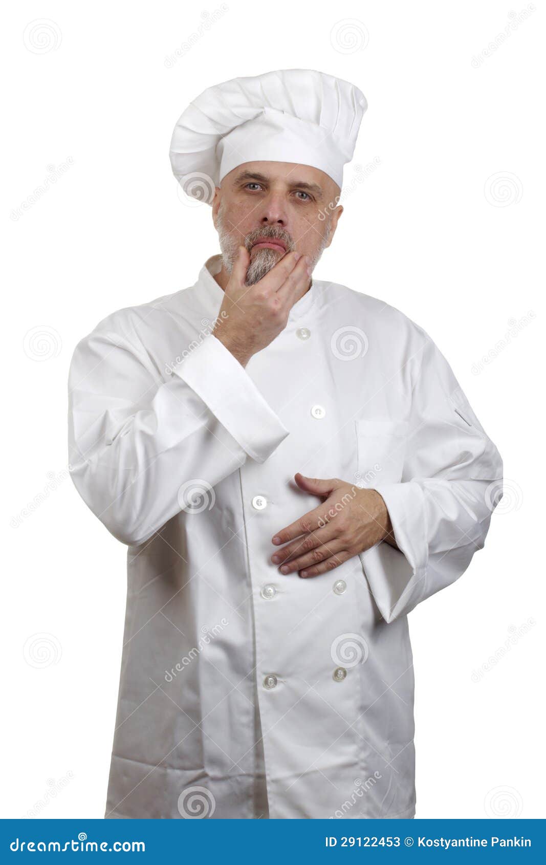 Chef Portrait stock image. Image of experienced, industry - 29122453
