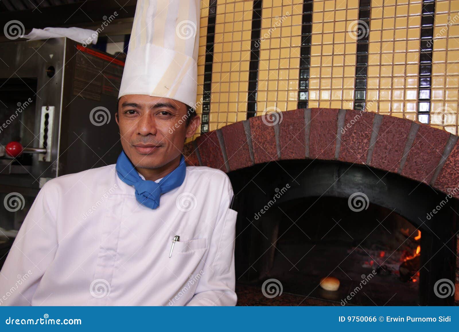 Chef pose at work stock photo. Image of male, chef, catering - 9750066