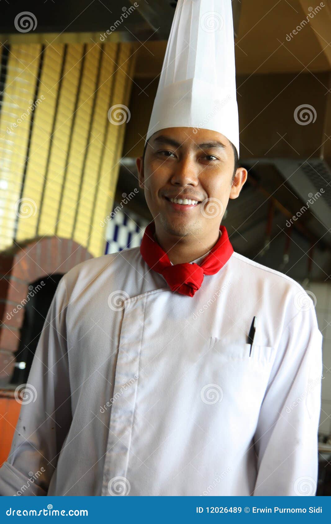 Chef posing at work stock image. Image of kitchen, glad - 12026489
