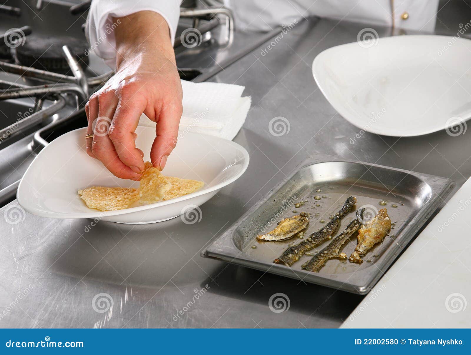 Chef prepared fish stock photo. Image of fish, professional - 22002580