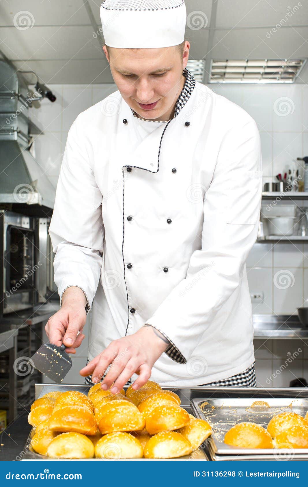 Chef prepares a meal stock photo. Image of apron, profession - 31136298