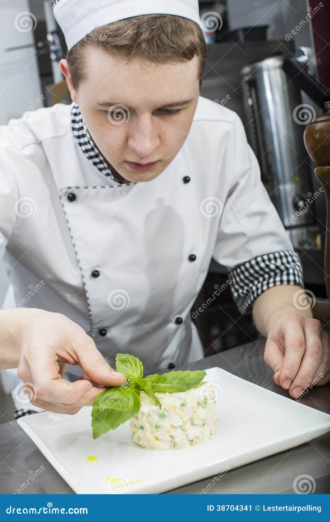 Chef prepares meal stock image. Image of cooking, kitchen - 38704341