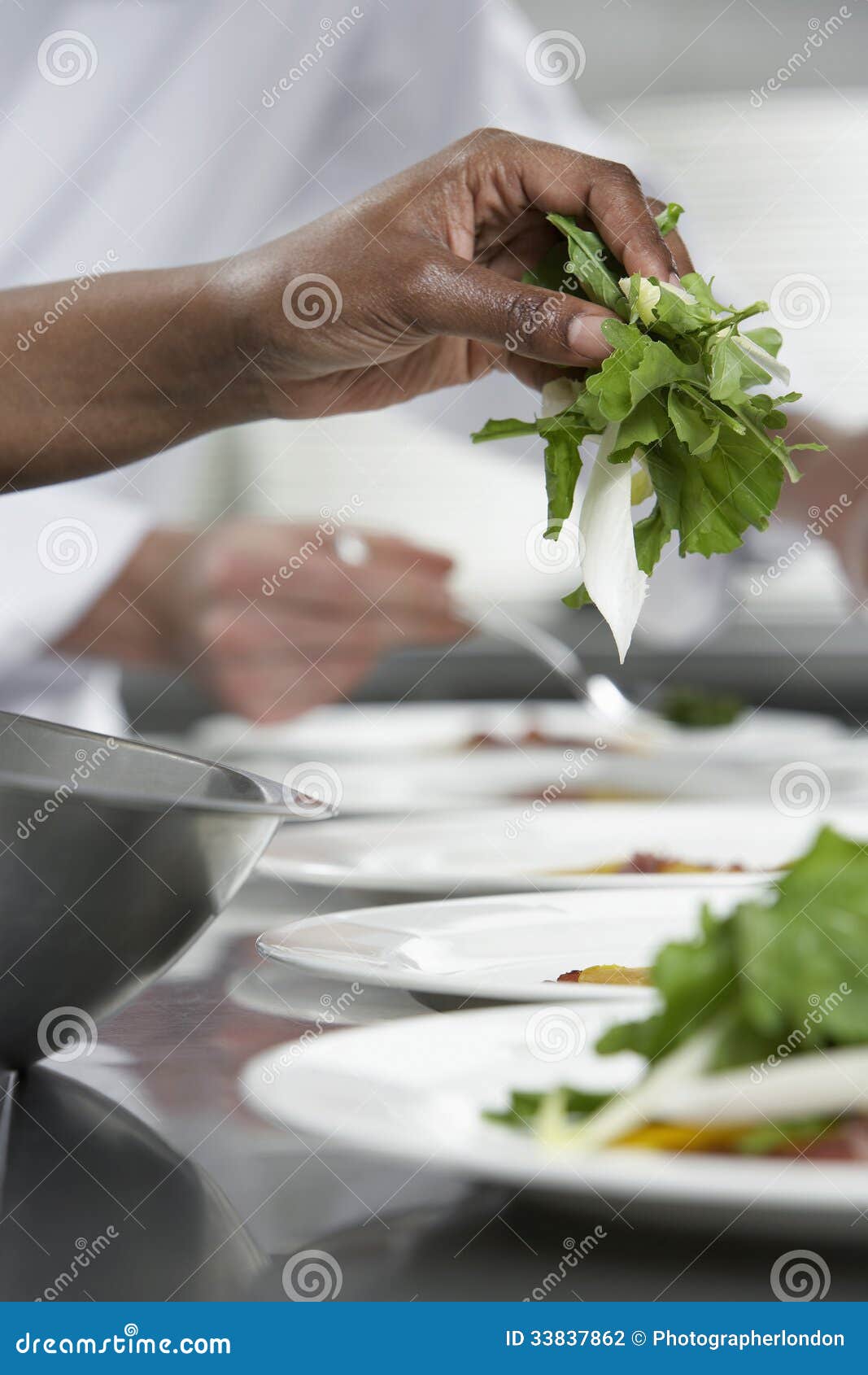 Chef Preparing Salad stock photo. Image of adult, lettuce - 33837862