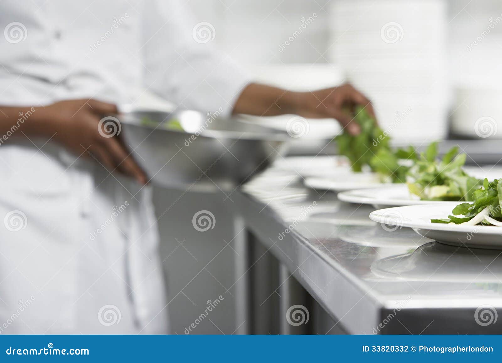Chef Preparing Salad stock photo. Image of industry, american - 33820332