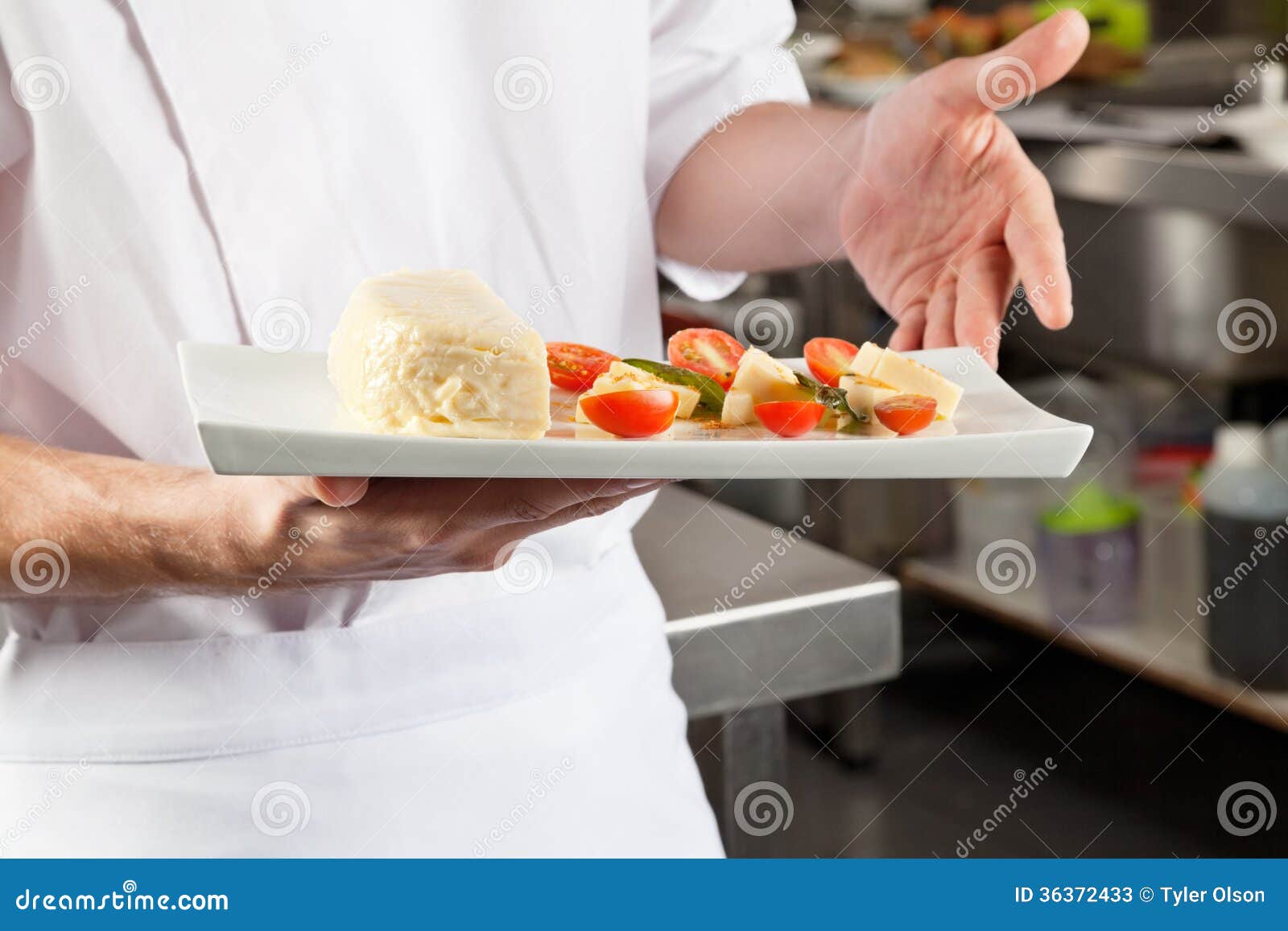 Chef Presenting Dish in Kitchen Stock Image - Image of midsection, dish ...