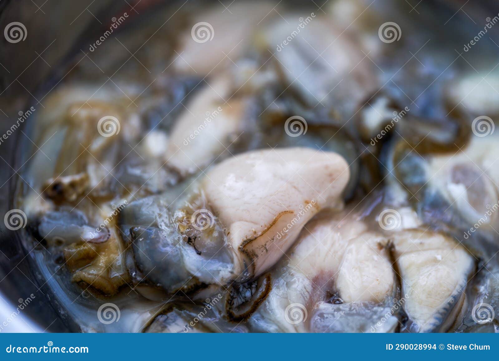 A Chef is Prying Open the Shells of Oysters, Opening the Oysters Stock ...