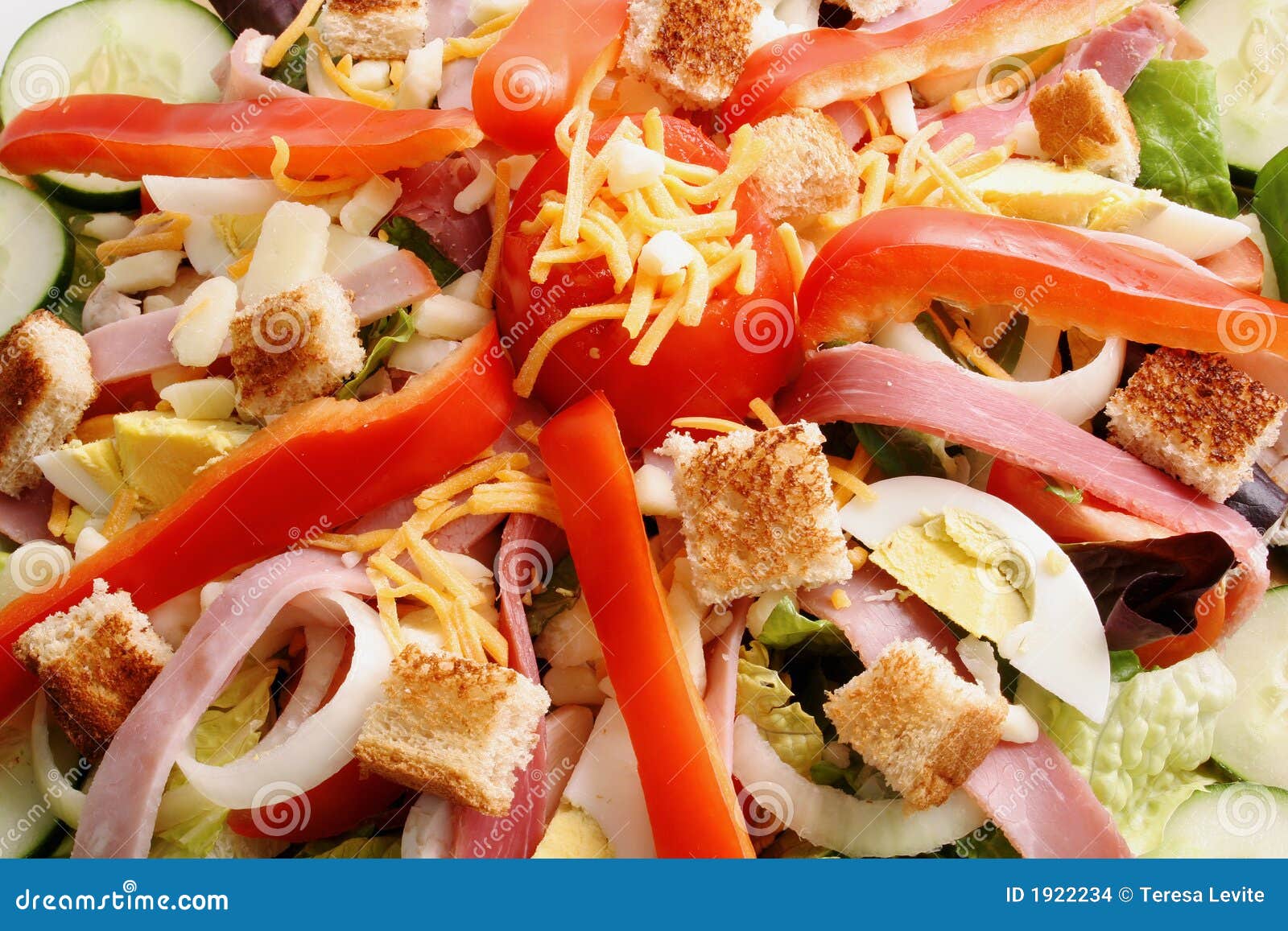 Chef s Salad stock photo. Image of colors, dinner, concepts - 1922234