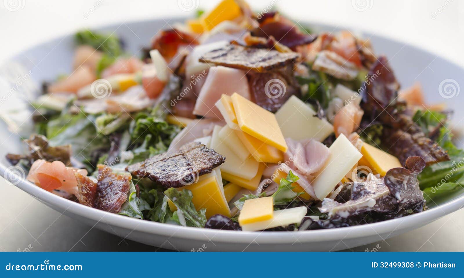 Chef s salad stock photo. Image of food, delicious, gourmet - 32499308