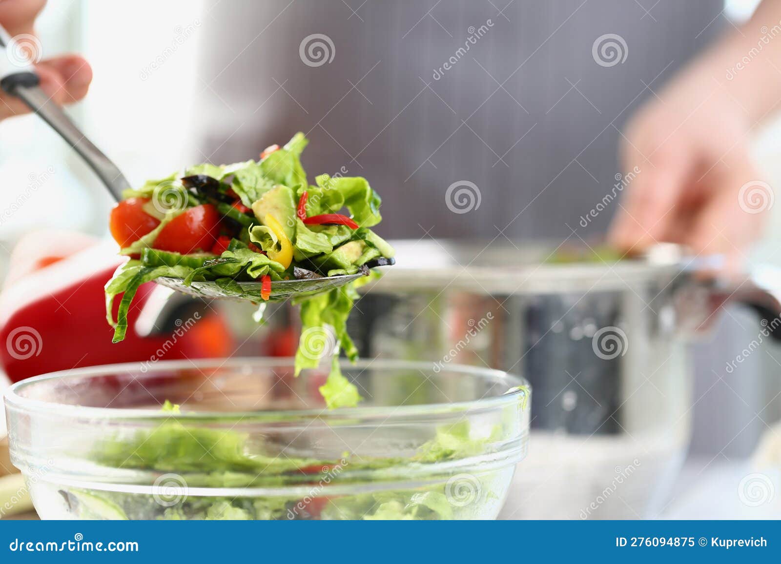 Chef Served Plate of Fresh Vegetable Salad in Kitchen Stock Image ...