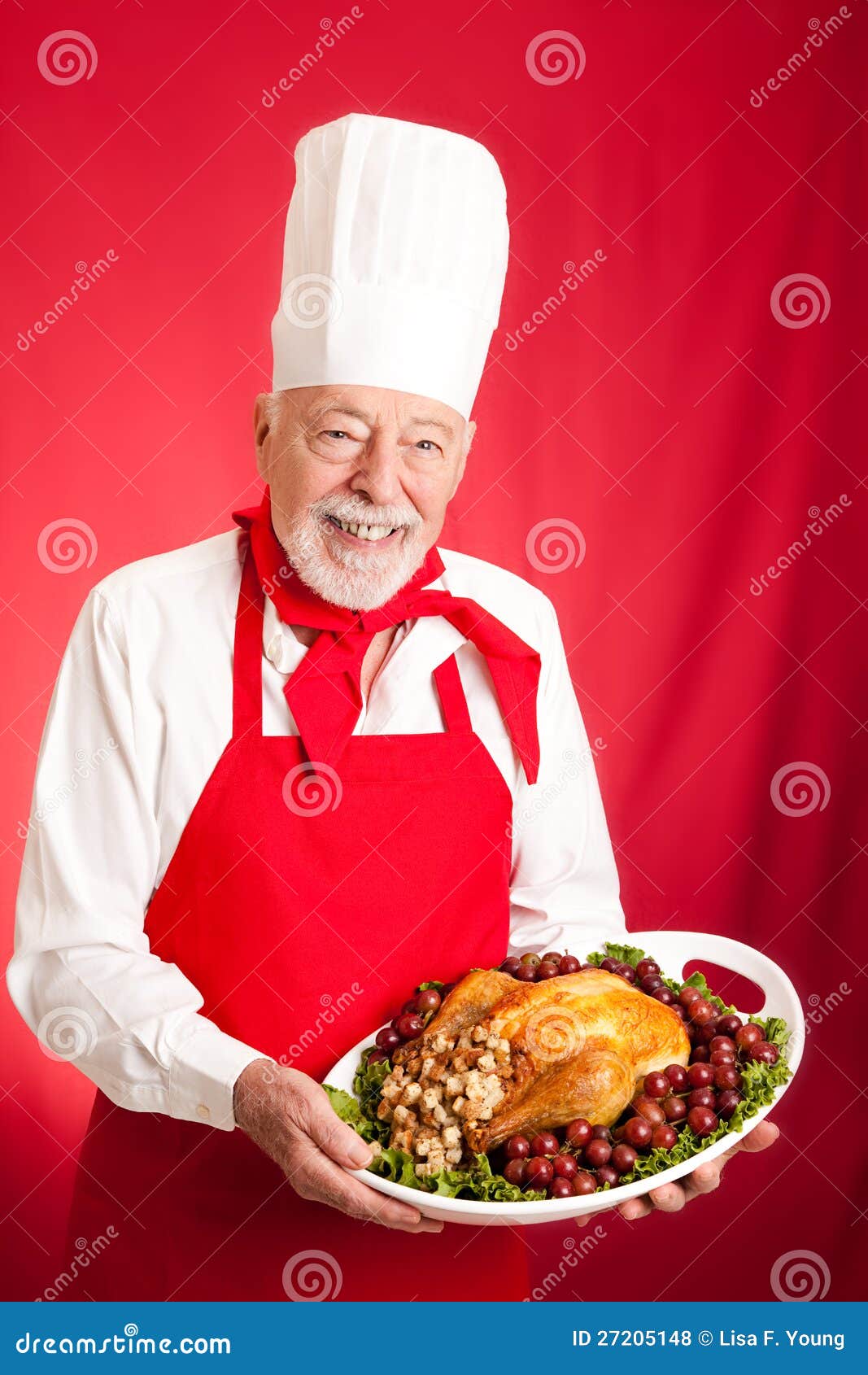 Chef Serves Holiday Dinner stock photo. Image of mature - 27205148