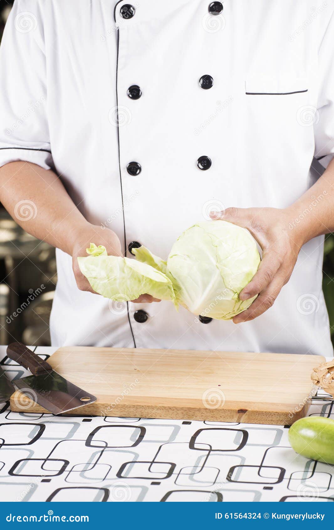 Chef split leaf of cabbage stock photo. Image of kitchen - 61564324