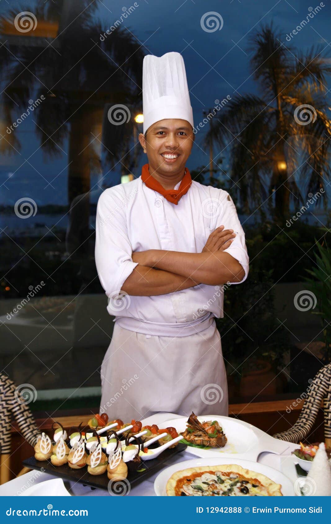 Chef standing stock photo. Image of people, expression - 12942888