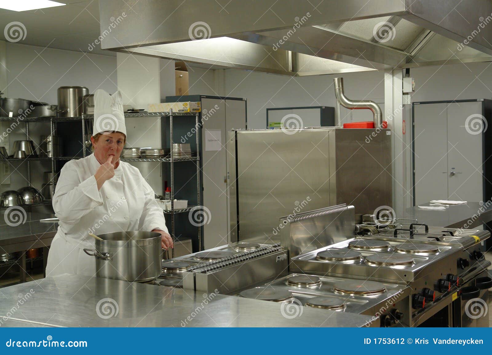Chef tasting the dish stock photo. Image of industrial - 1753612