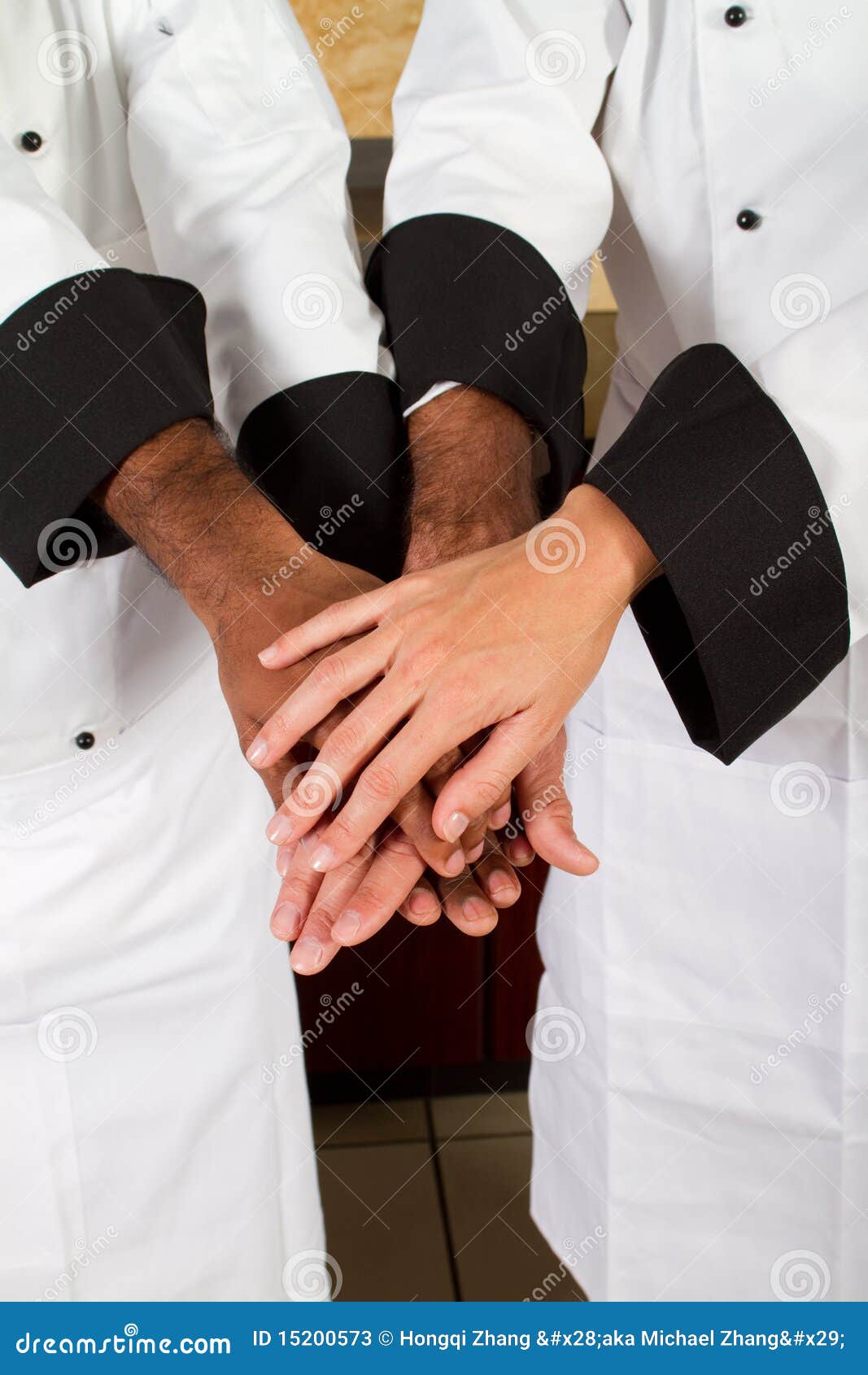 Chef teamwork stock image. Image of food, industrial - 15200573