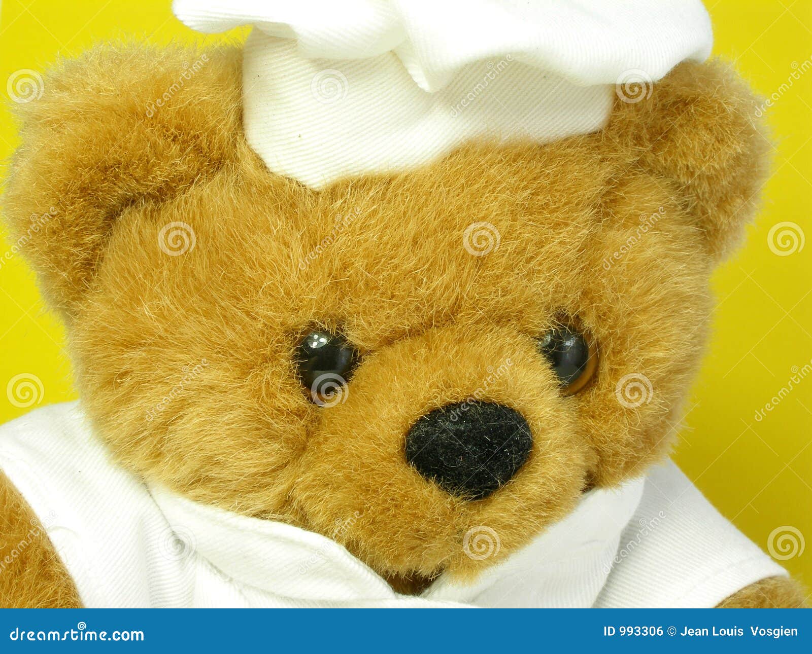 Chef Teddy Bear Is Serious Picture. Image: 993306