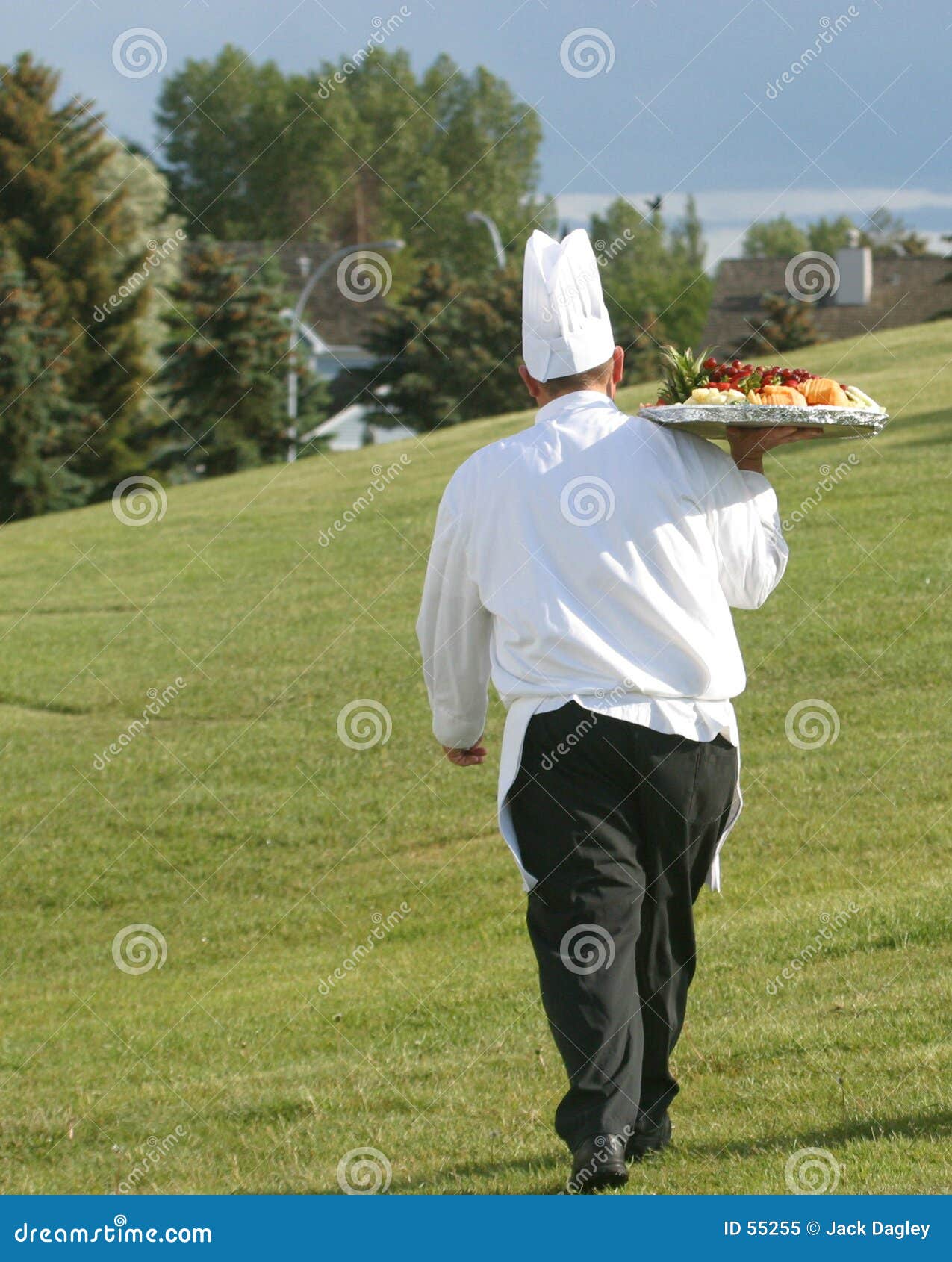 Chef with tray of food stock image. Image of appetizer, grass - 55255