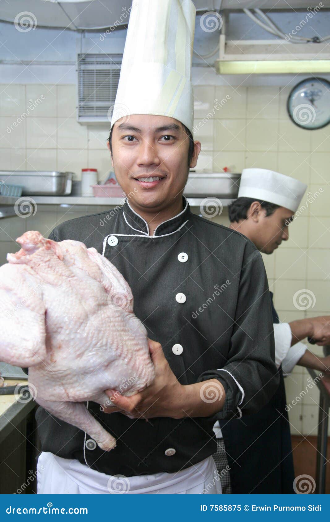 Chef with turkey poultry stock image. Image of turkey - 7585875