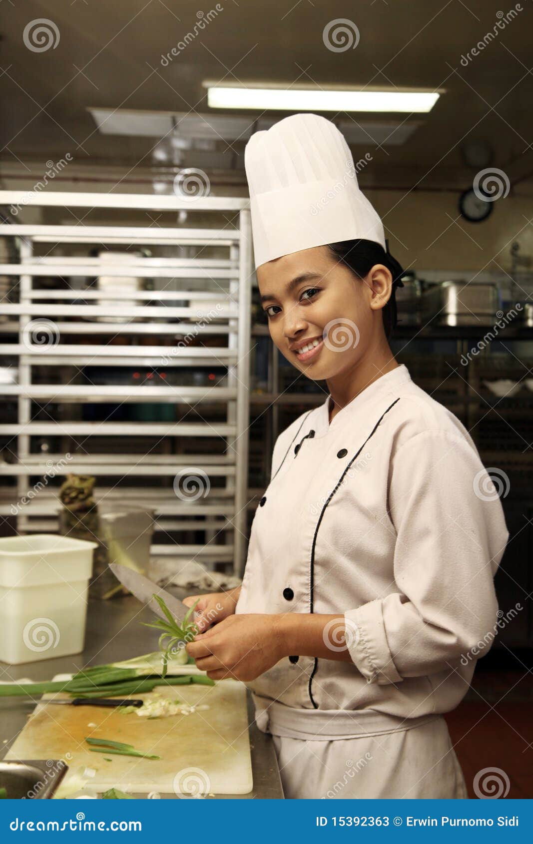 Chef at work stock image. Image of dress, photograph - 15392363