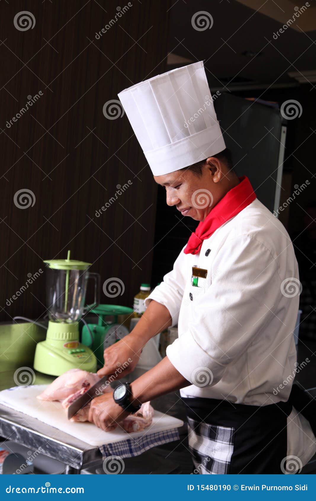 Chef at work stock photo. Image of kitchen, happy, hospitality - 15480190
