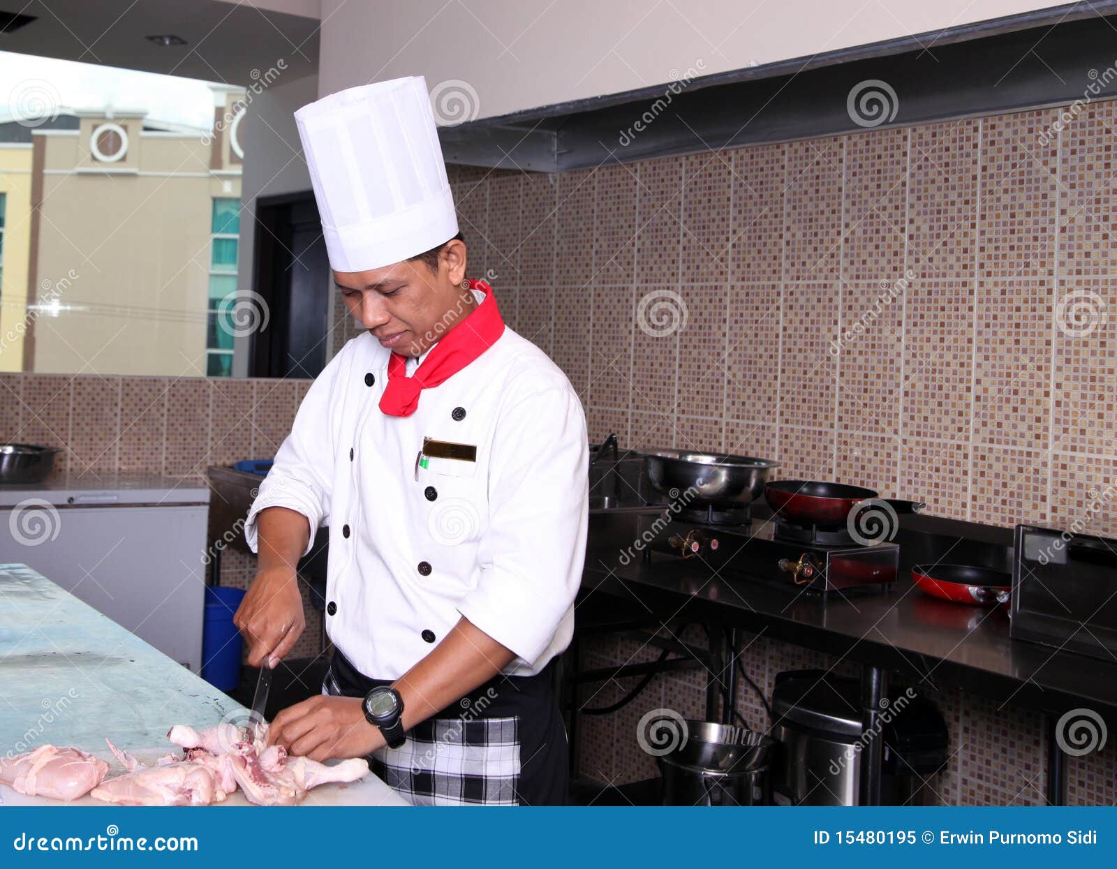 Chef at work stock image. Image of portrait, banquette - 15480195
