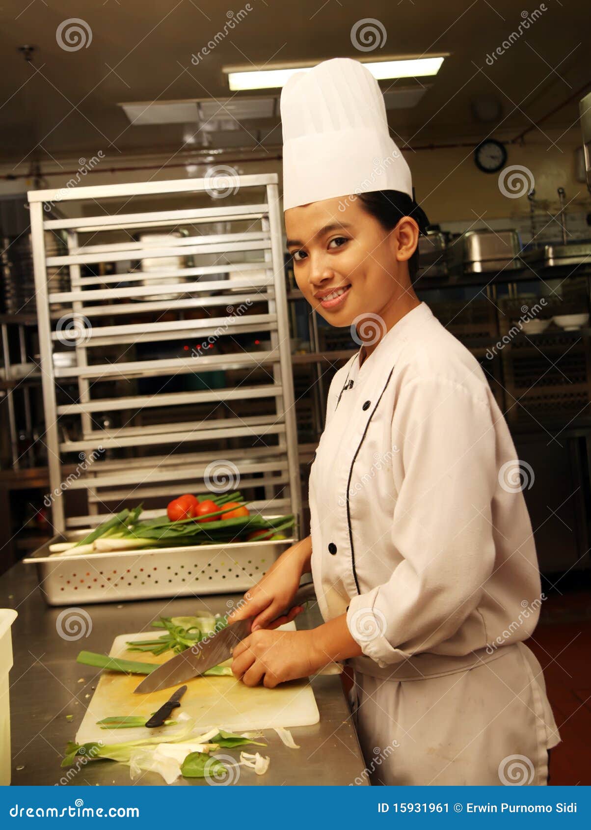 Chef at work stock image. Image of cheerful, expression - 15931961