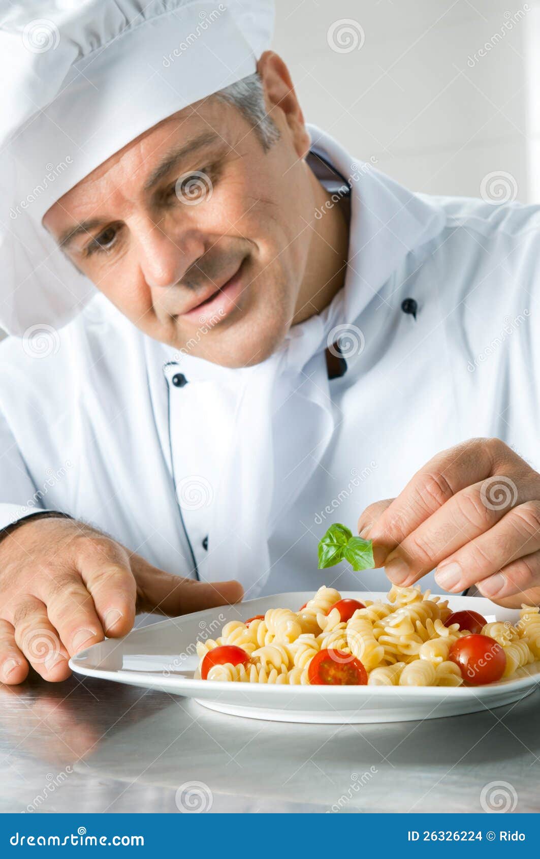 Chef at work stock photo. Image of look, gourmet, dish - 26326224