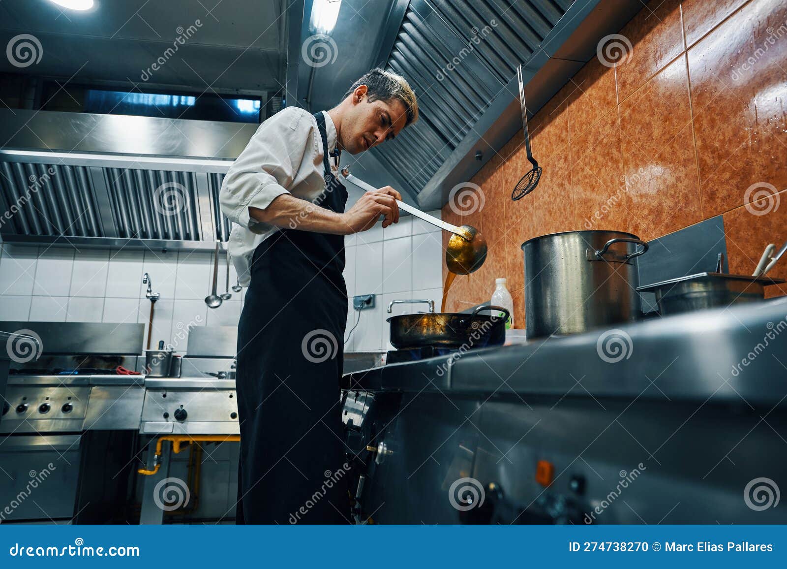 Chef Working in the Kitchen, Professional Cusine Stock Photo - Image of ...