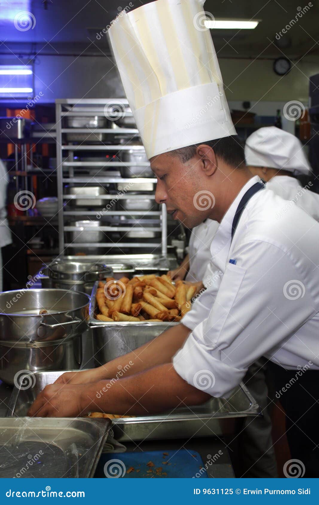 Chef Working in the Kitchen Stock Image - Image of chefs, asia: 9631125