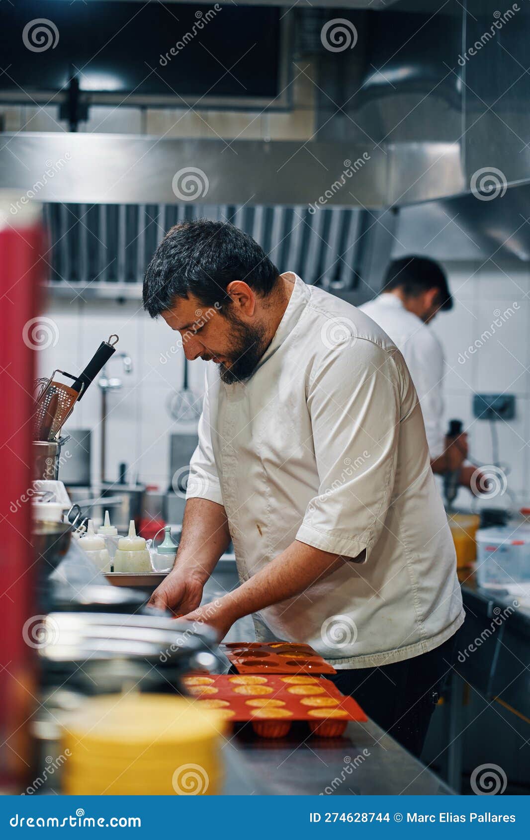 Chef Working in a Professional Kitchen, Haute Cusine Stock Photo ...