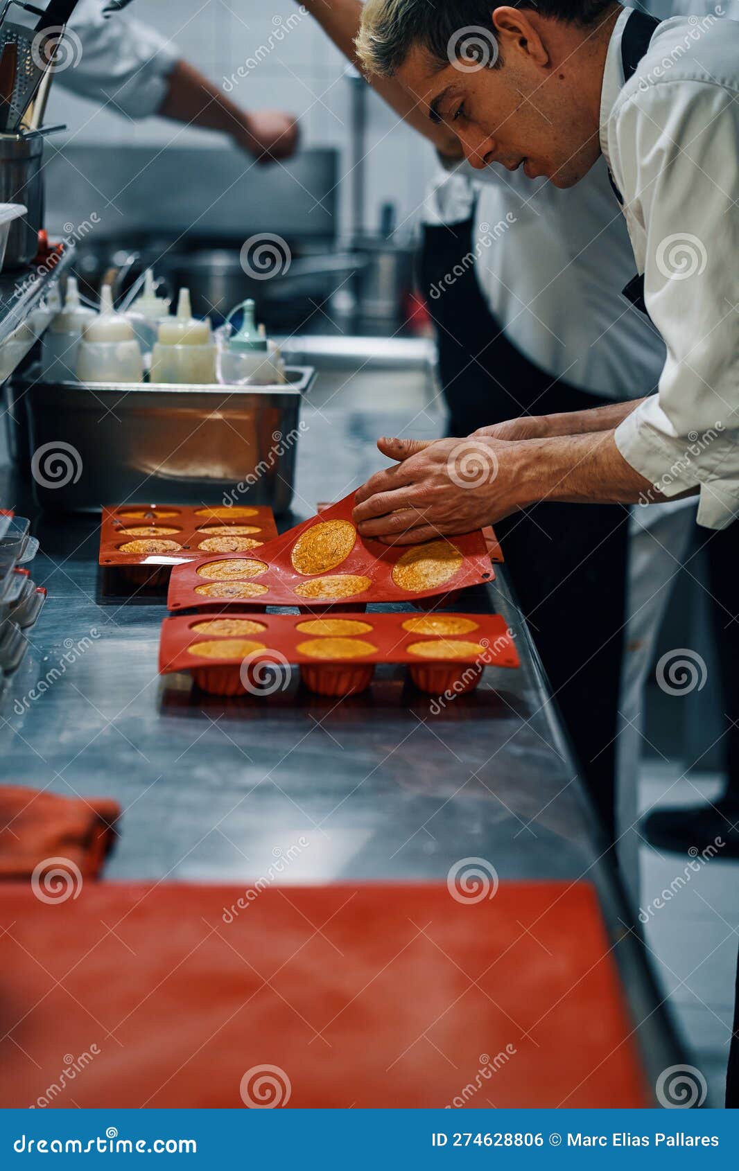 Chef Working in a Professional Kitchen, Cusine Chef Stock Photo - Image ...