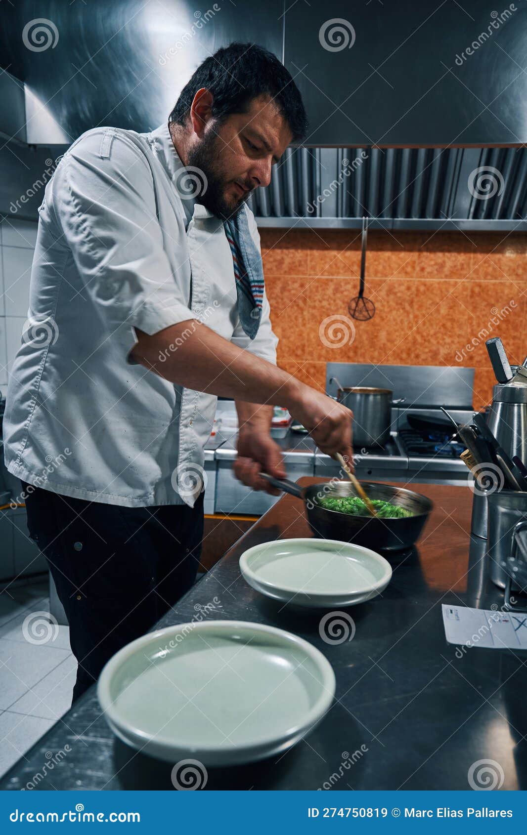 Chef Working in a Professional Kitchen, Professional Cuisine Stock ...